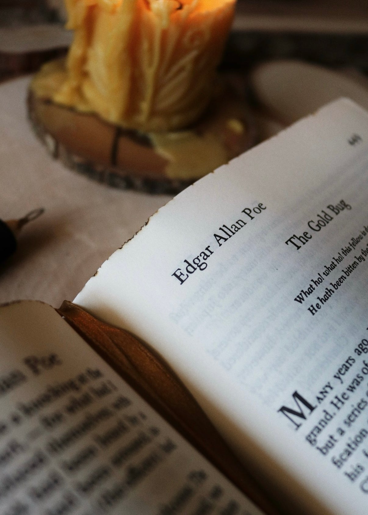 Pyrography on The Complete Tales and Poems of Edgar Allan Poe – Hippie ...